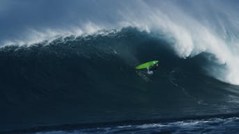 Cult Classics - Ritz Cinemas