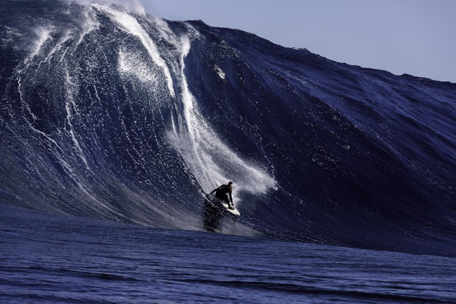 Facing Monsters - Ritz Cinemas