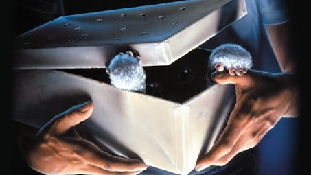 Coming Soon - Ritz Cinemas