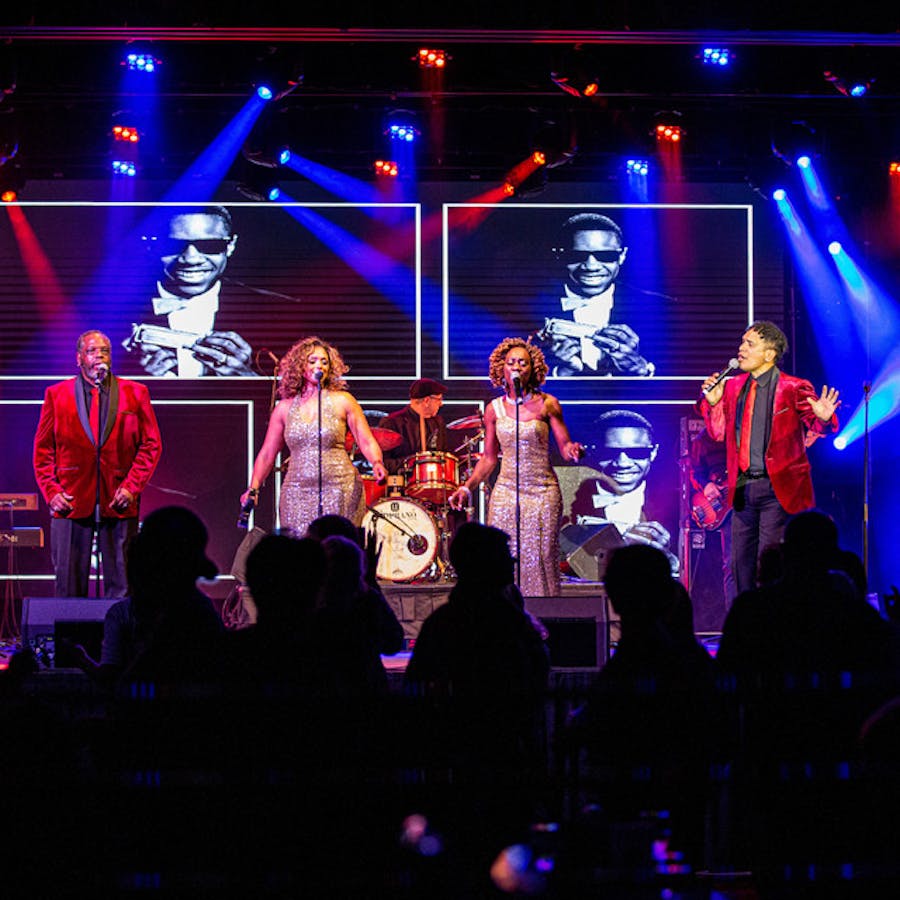 Dancing in the Shadows of Motown - Ritz Cinemas