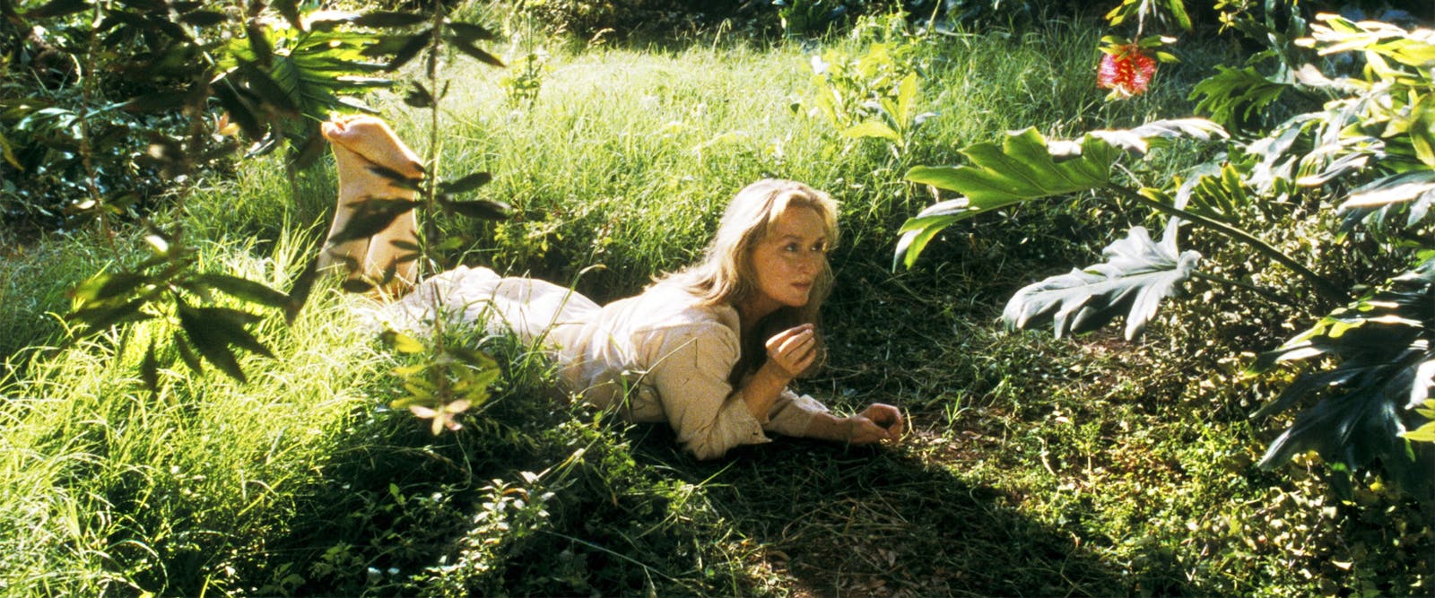 Adaptation. (2002) - Lido Cinemas