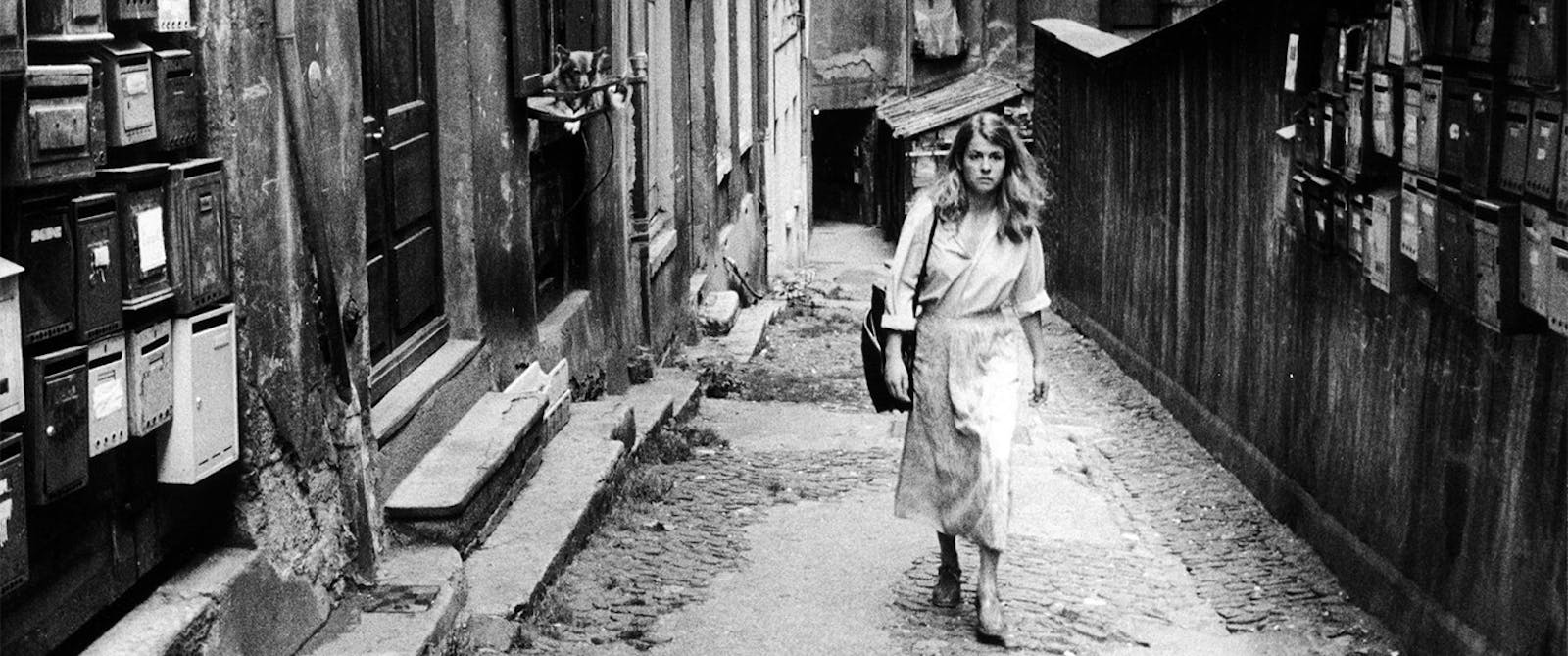 Blind Spot (1981) - Ritz Cinemas