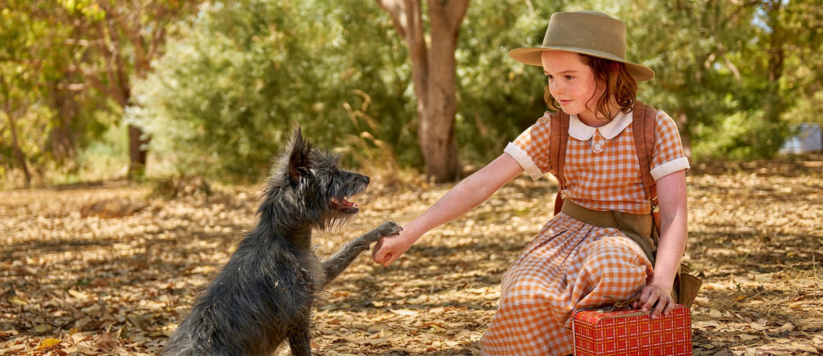 Runt - Classic Cinemas