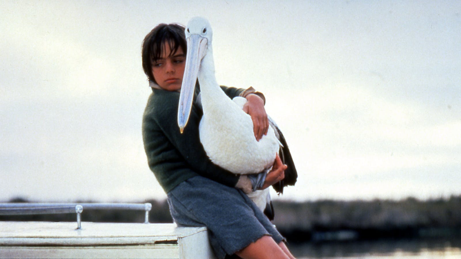 35mm Storm Boy (1976) - Ritz Cinemas